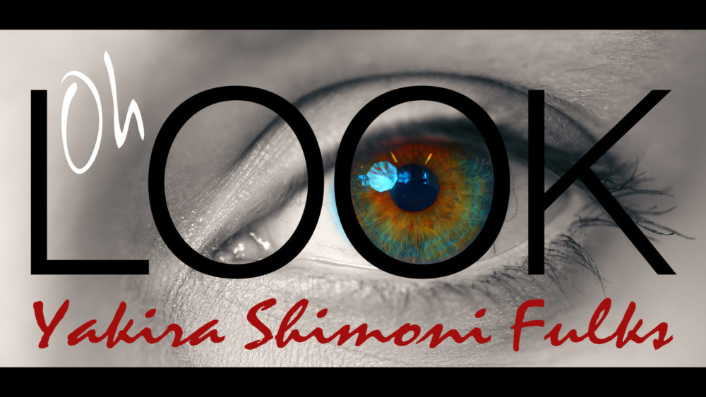 Yakira Shimoni Fulks - Oh Look! - The OC Recording Company Blog